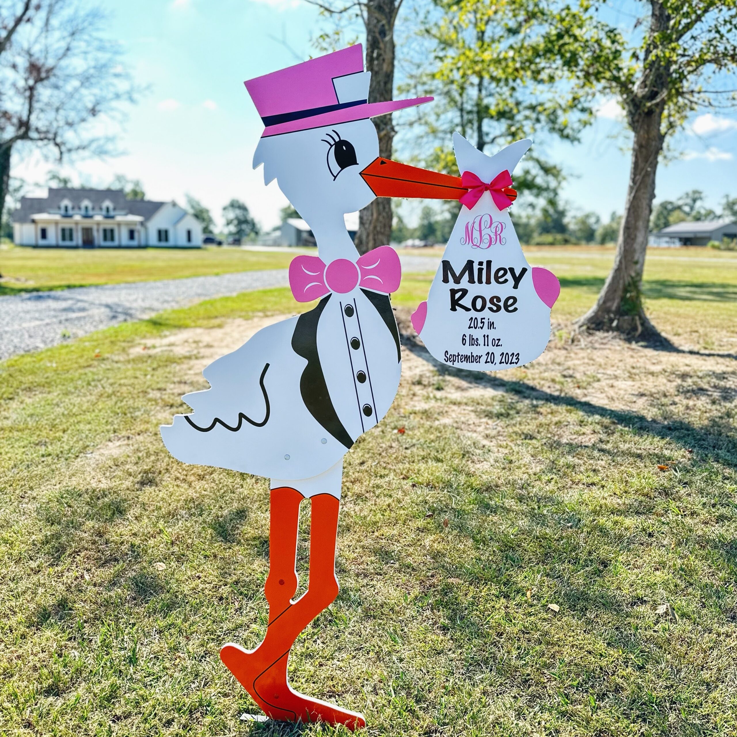 Baby Stork Signs – Nashville TN