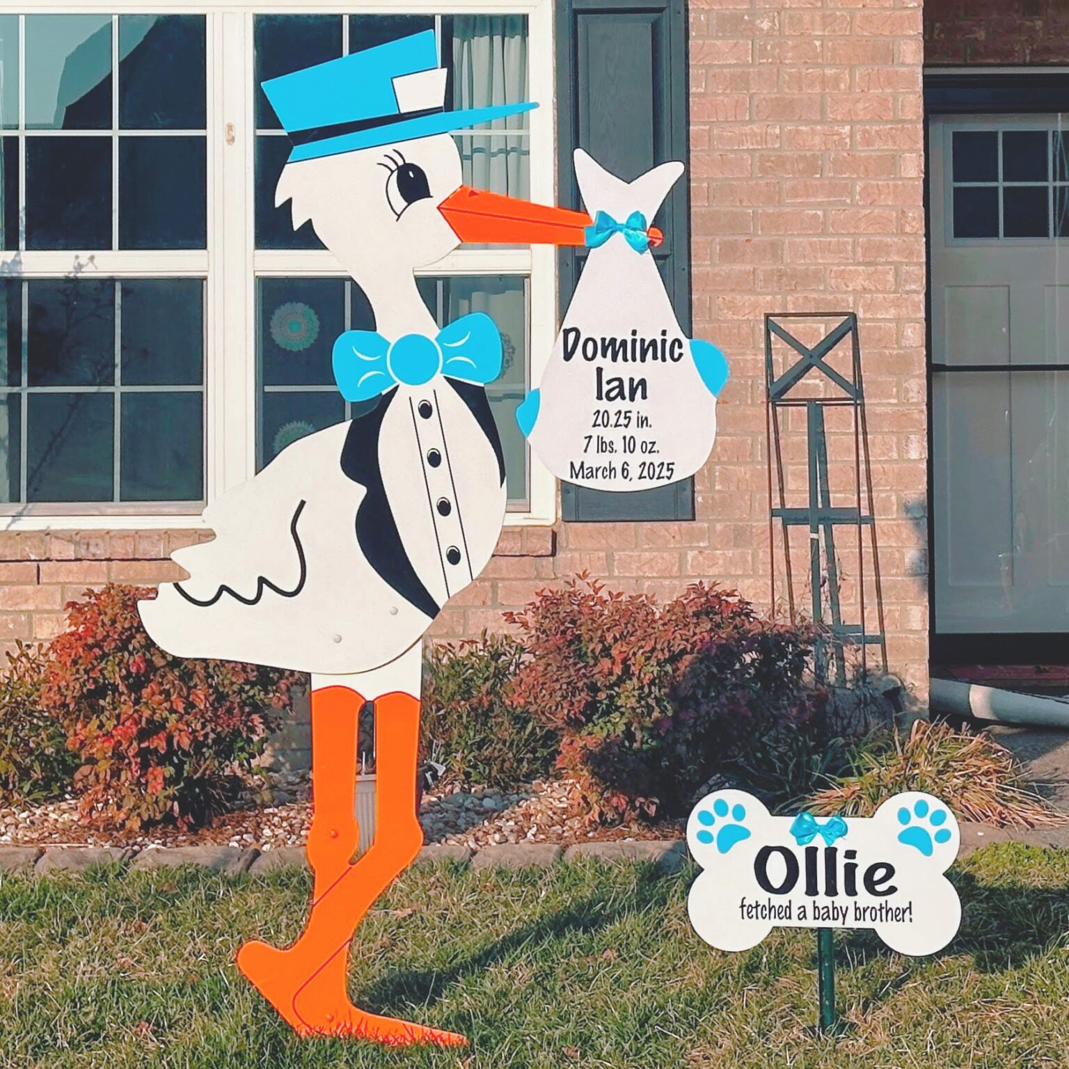 Celebrate Nashville Babies with Custom Yard Sign Rentals! - Nashville ...