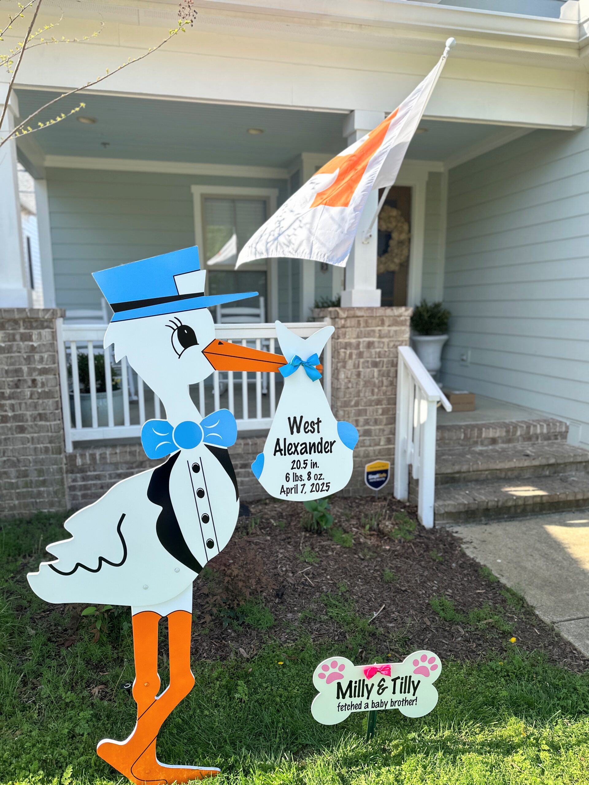 Birth Announcement Signs- Nashville TN-Nashville Storks & More